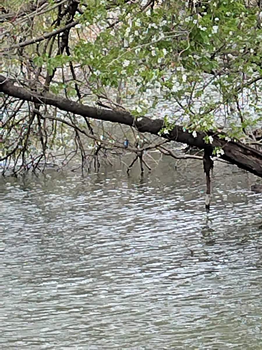 古書 西荻モンガ堂(@monga_book) - Twilog