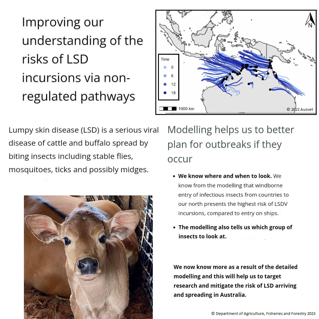 ausvetgroup on Twitter: "Our #research to improve understanding of # ...