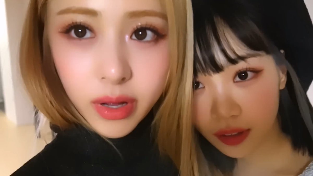 ssera pics on Twitter: "RT @purinzpics: help meeeee"