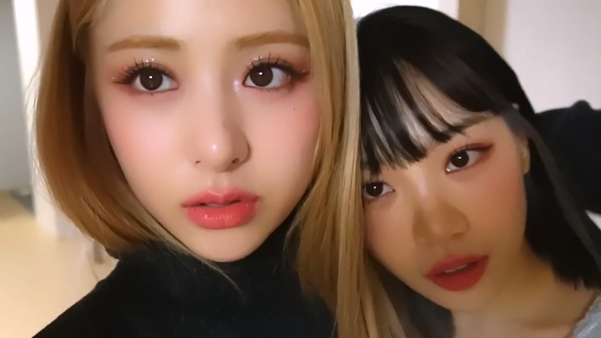 ssera pics on Twitter: "RT @purinzpics: help meeeee"