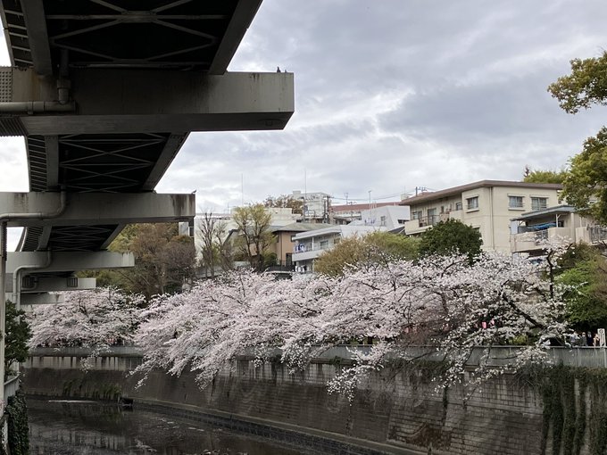 sisimaru(@sisimaru) - Twilog