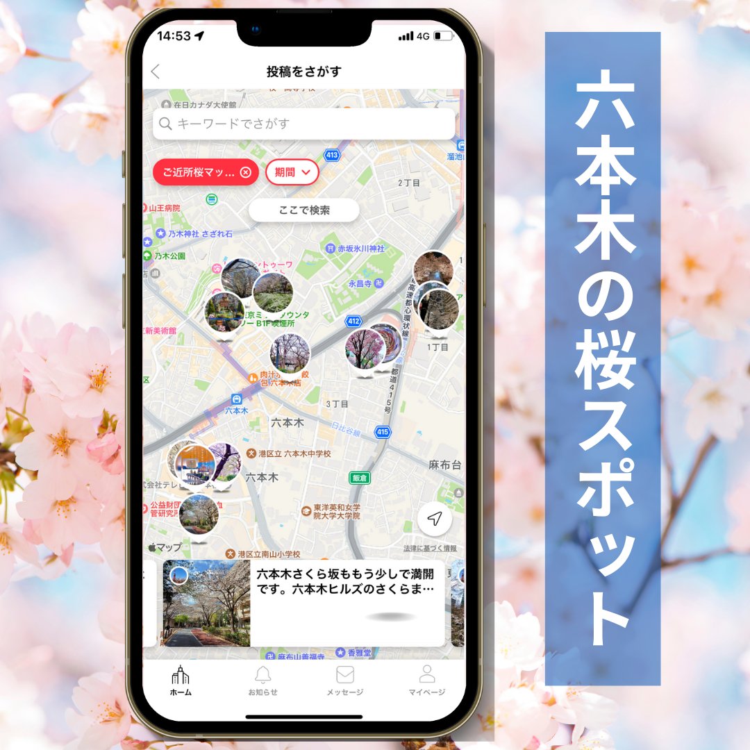 地域コミュニティアプリ「ピアッザ」【公式】 on Twitter: "六本木の桜スポット🌸ピアッザアプリから探せるよ🌸 https://app.adjust.com/j7fb61o"
