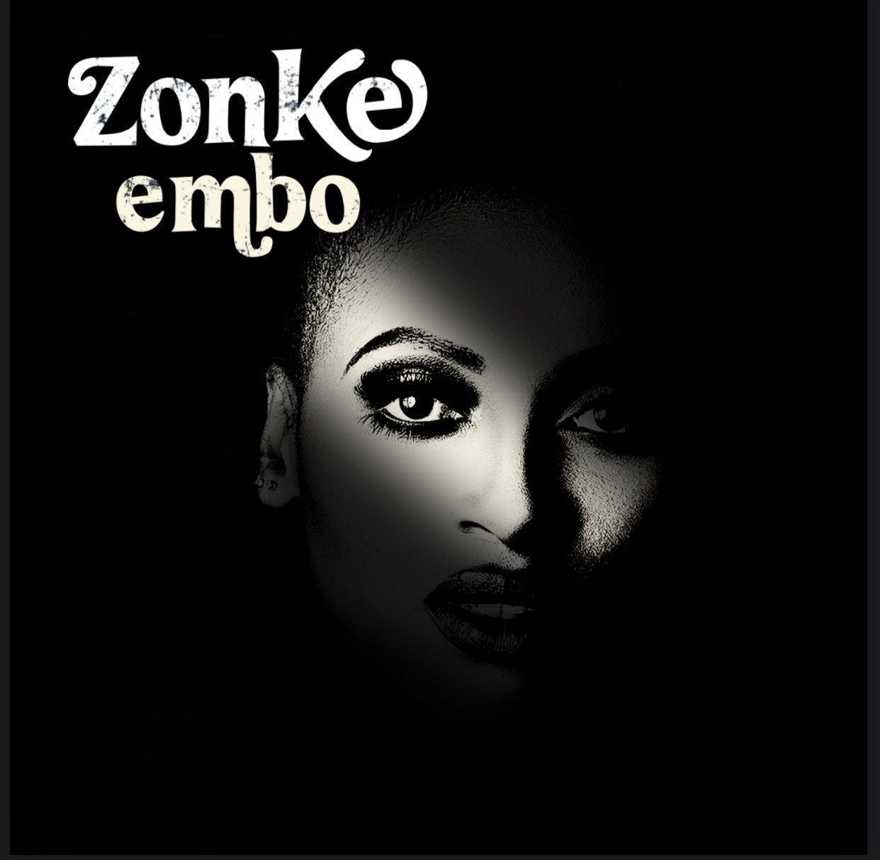 ZONKE™️🇿🇦 on Twitter: "https://t.co/WtVsaXpfez to order CD/USB (&Vynils) we are going completely ...