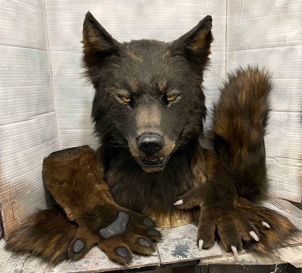 とまくら🐺 on Twitter: "RT @crystumes: Lovely brown based black wolf partial for @redwolfdreaming ...