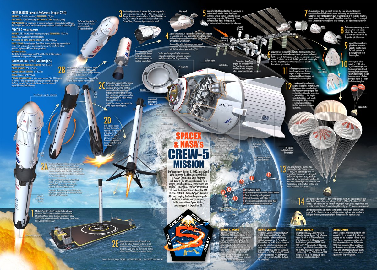 Tony Bela - Infographic news on Twitter: "UPDATE: In celebration of the completion of Crew-5's ...