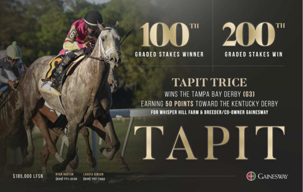 TDN on Twitter: "Tapit Trice wins the GIII Tampa Bay Derby, earning 50 points toward the ...