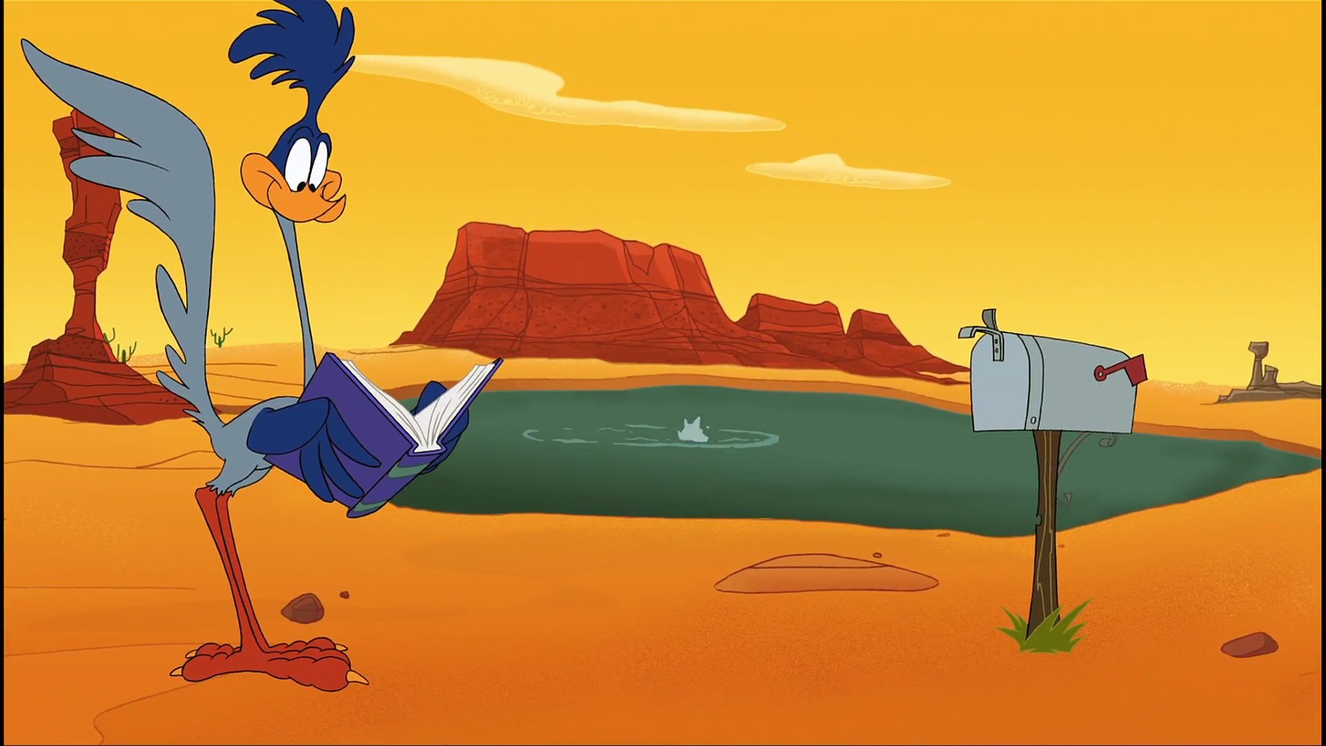 Roadrunner Cartoon Wallpaper