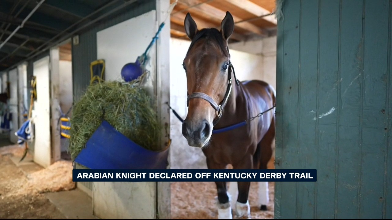 TVG on Twitter: "ICYMI: Arabian Knight is off the Kentucky Derby Trail https://t.co/zBKxxjdSW9 ...