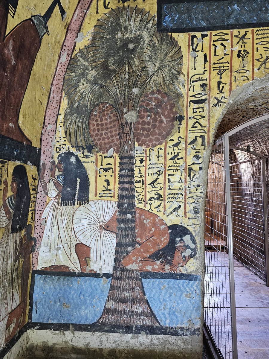 Dr. Peter J Brand on Twitter: "2/ scene of tomb owner under a palm tree is similar to Pashedu's ...