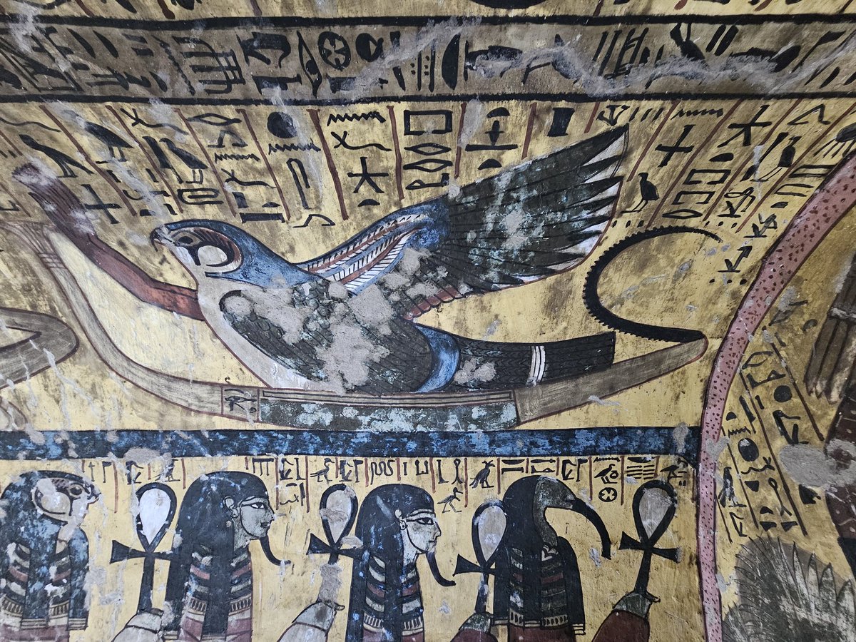 Dr. Peter J Brand on Twitter: "4/ ceiling scenes of the gods including a falcon"