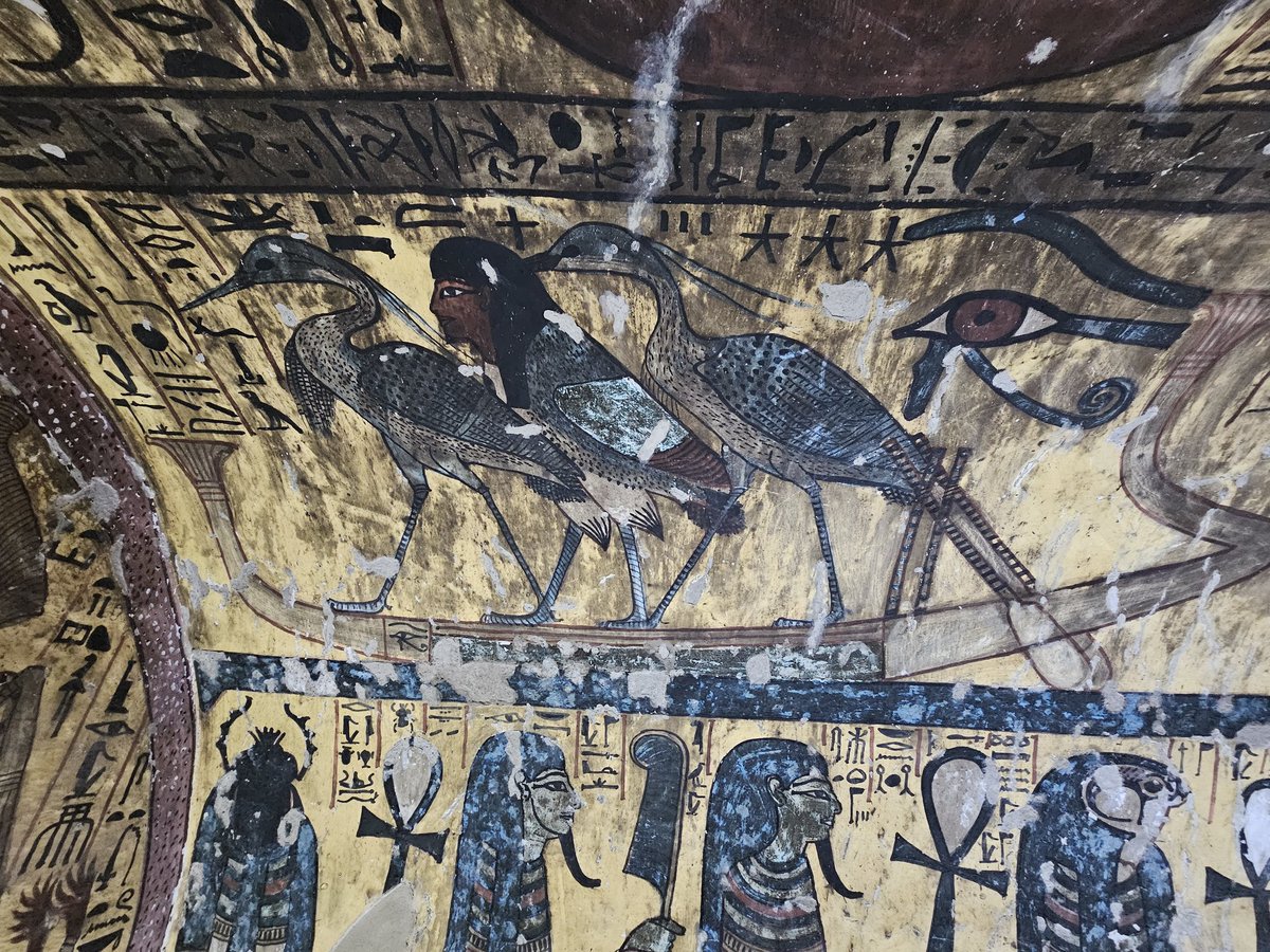 Dr. Peter J Brand on Twitter: "4/ ceiling scenes of the gods including a falcon"