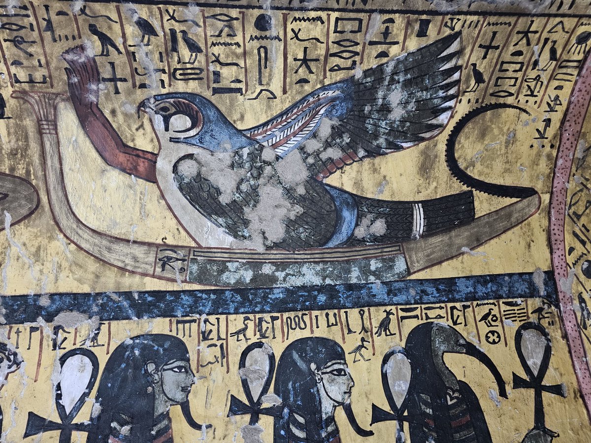 Dr. Peter J Brand on Twitter: "4/ ceiling scenes of the gods including a falcon"