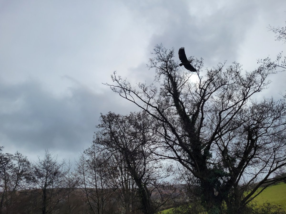 Lady Rebs on Twitter: "Surprisingly warm @runningpunks #VRC today. 12km, featuring canal ...