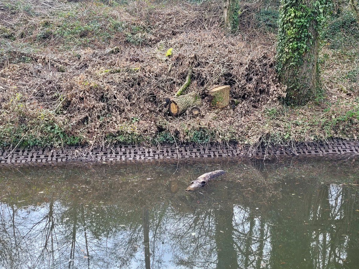 Lady Rebs on Twitter: "Surprisingly warm @runningpunks #VRC today. 12km, featuring canal ...