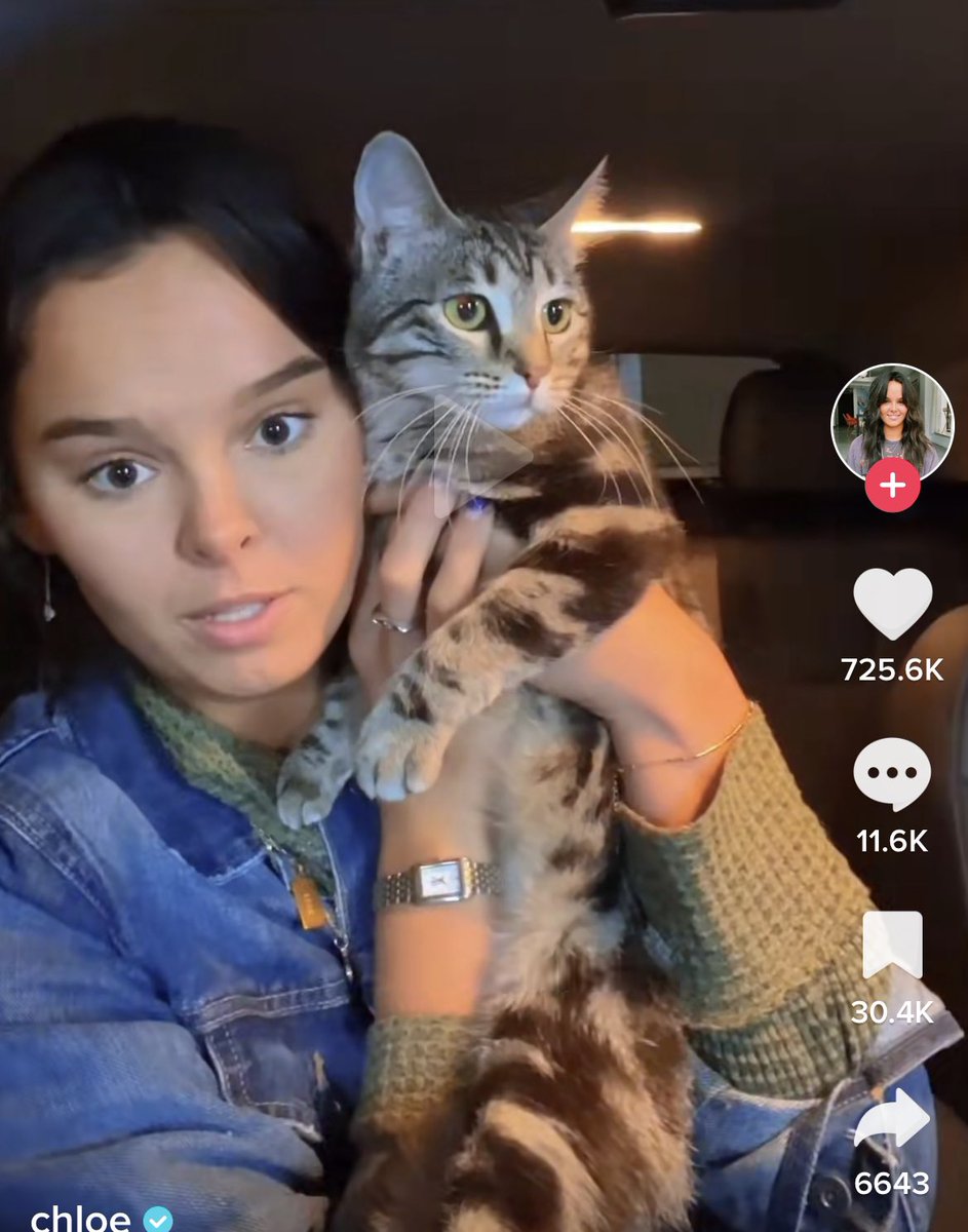 Michelle Cyca on Twitter: "you’re watching the Oscars, I’m watching the videos of a TikTok ...