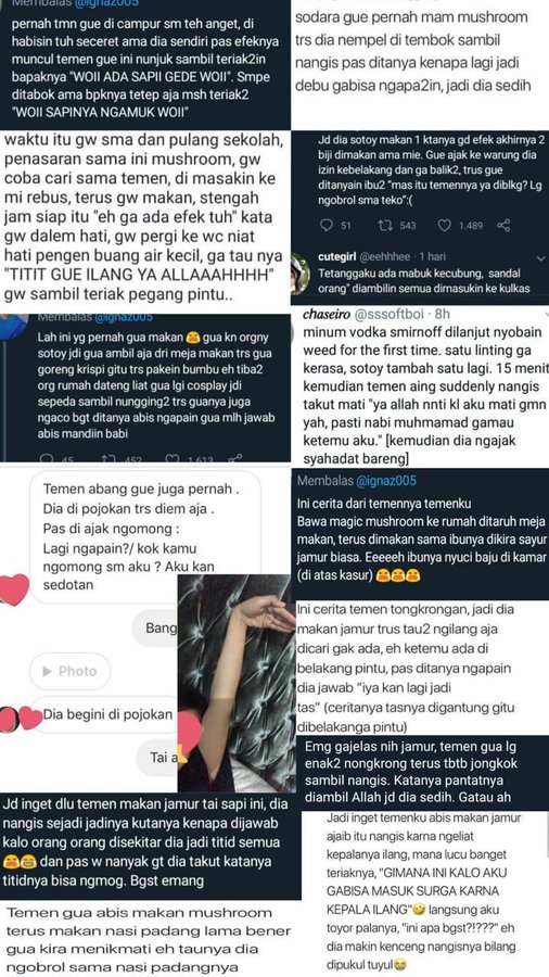 For You On Twitter Https T Co 1zzpsggn7f Twitter