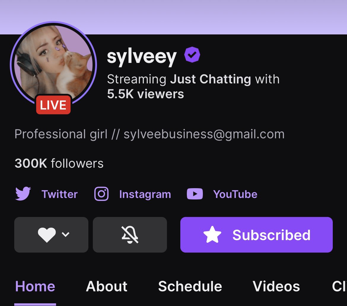 Sylvee Updates ΒΉβΈβ΅ On Twitter Sylvee Hit 300k On Twitch ππ