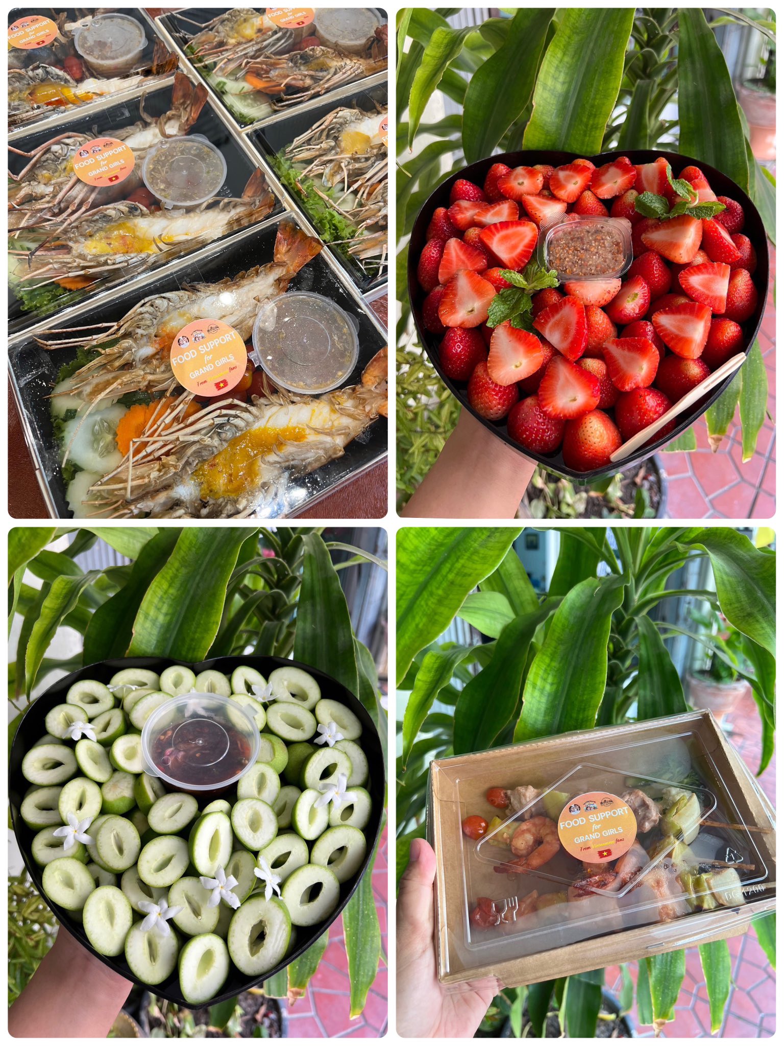 TEAM ENGLOT MINI🇻🇳 (@teamenglotmini) / Twitter