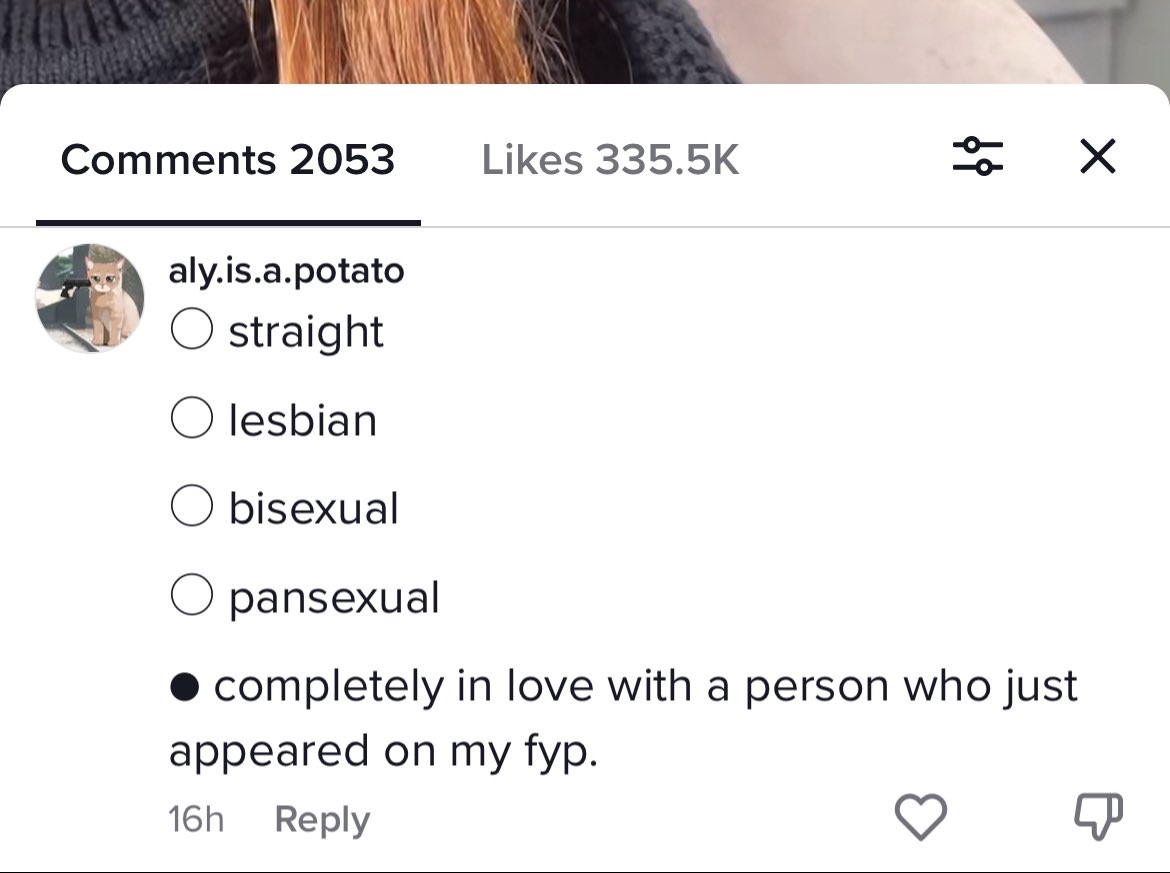 sadie on Twitter: "Stop commenting this corny ass shit on my TikToks 😭😭"