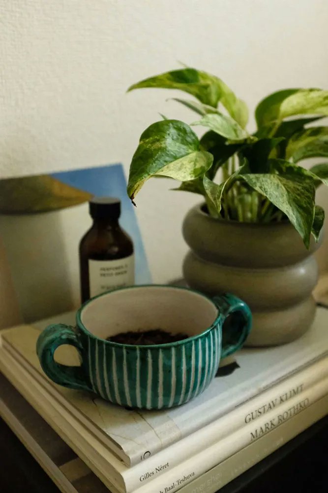 GINZA on Twitter: "おしゃれな部屋をSNAP📸心を潤す光と素材、自然のぬくもり。穏やかな暮らしに旬の花を添えてhttps://ginzamag.com/lifestyle ...