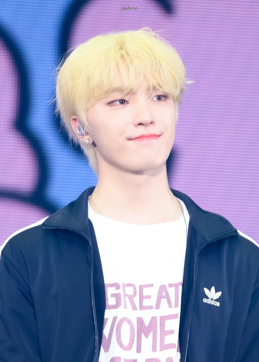 도렘 on Twitter: "RT @cheriee_ll: 230311 캐럿랜드 #디노 #dino"