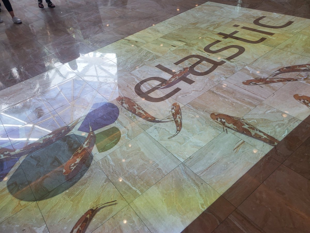 Asuka Nakajima | 中島明日香 on Twitter: "到着後爆睡していた為、ご報告が遅くなりましたが、フロリダのディズニーワールド付近でエンジニア全社会議が開催されます！😎 ...