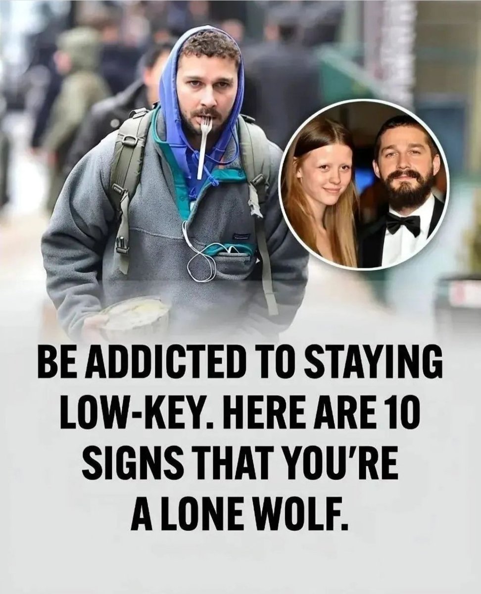 Be Addicted To Staying Low-Key. Here Are 10 Signs That You're Lone Wolf ...