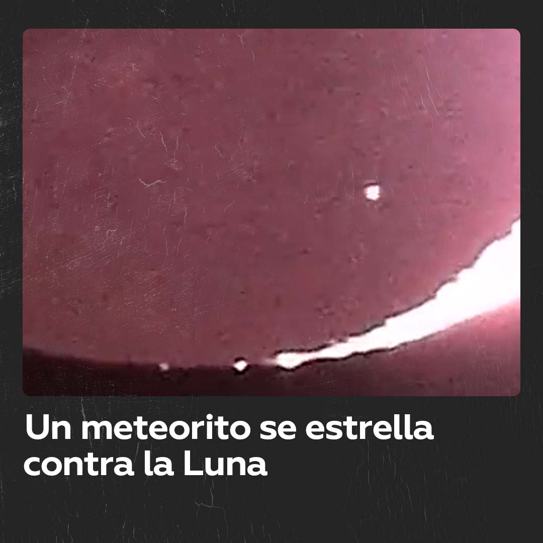 🔭 El conservador del museo de la ciudad de Hiratsuka (Japón), Daichi ...