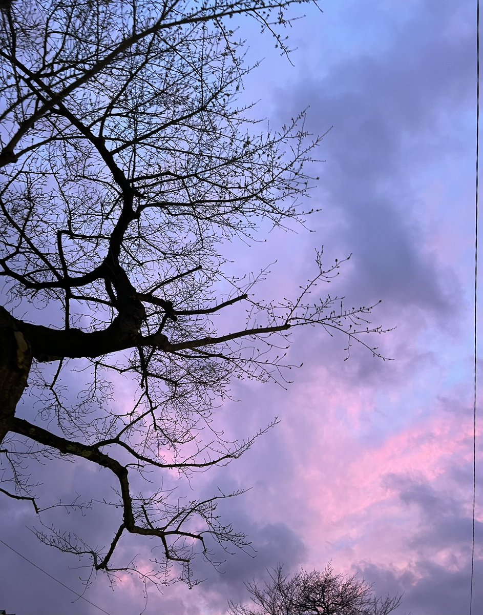 【指原P】≒JOY★30【ニアジョイ】