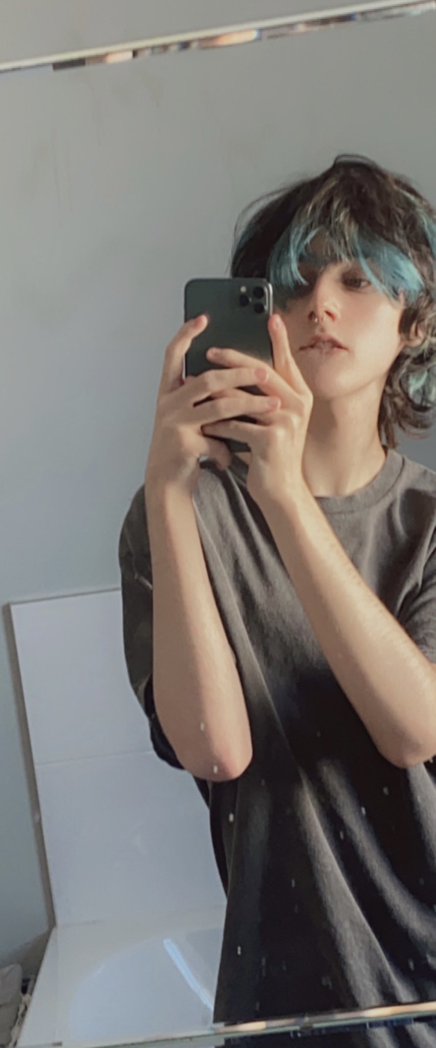 maru on Twitter: "awoo? https://t.co/wzmsBabdnY" / Twitter