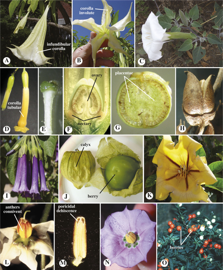 Instituto de Ecologia,UNAM on Twitter: "En @PMovimiento hablamos de las ...