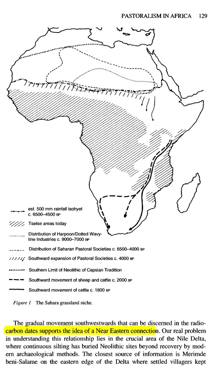 GroundedInReality's Threads – Thread Reader App