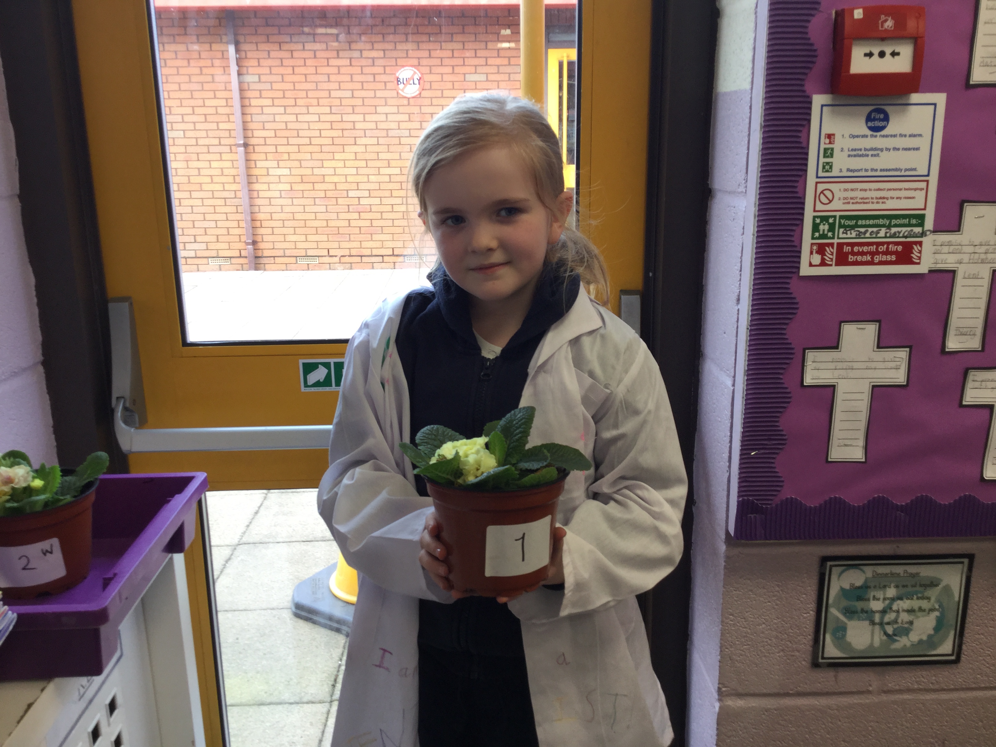 St Paul’s CE Academy (@SPA_DY4) / Twitter