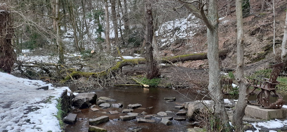 RVCG – Protecting the Rivelin Valley