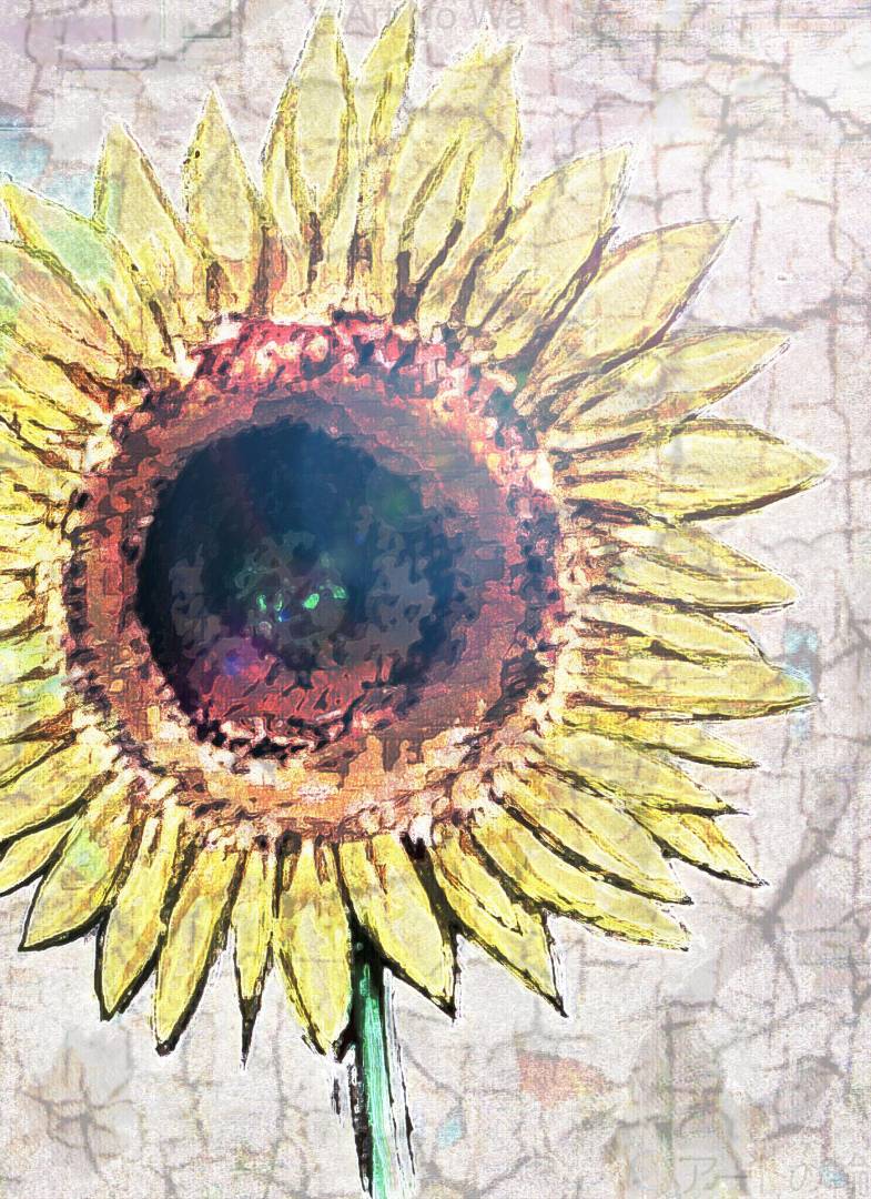 障がい者アート協会 on Twitter: "ひまわりです。 https://borderlessart.or.jp https://artnowa.org #障害者 #障がい者アート ...