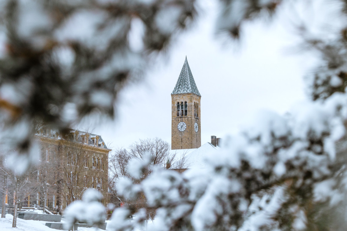 Cornell Campus Winter