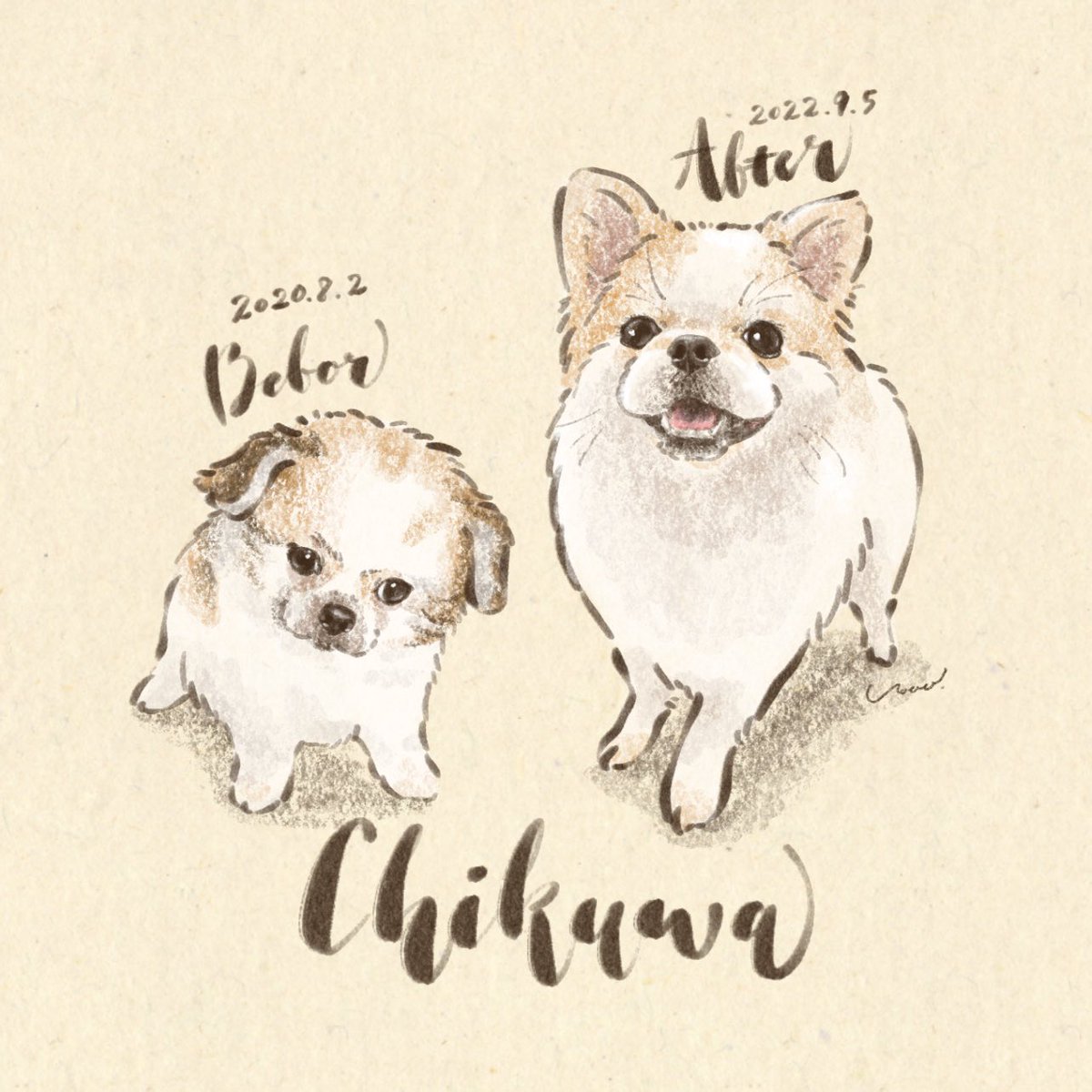 noco create on Twitter: "普段フリーでデザイナーしながら、ペットの似顔絵を描いてます！（最近ウェルカムボード率高め） インスタ https://instagram ...