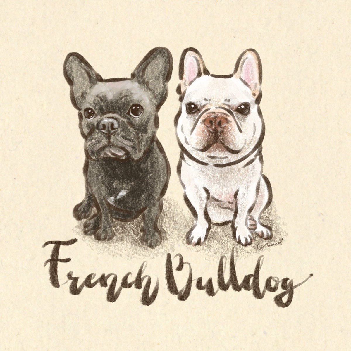 noco create on Twitter: "普段フリーでデザイナーしながら、ペットの似顔絵を描いてます！（最近ウェルカムボード率高め） インスタ https://instagram ...