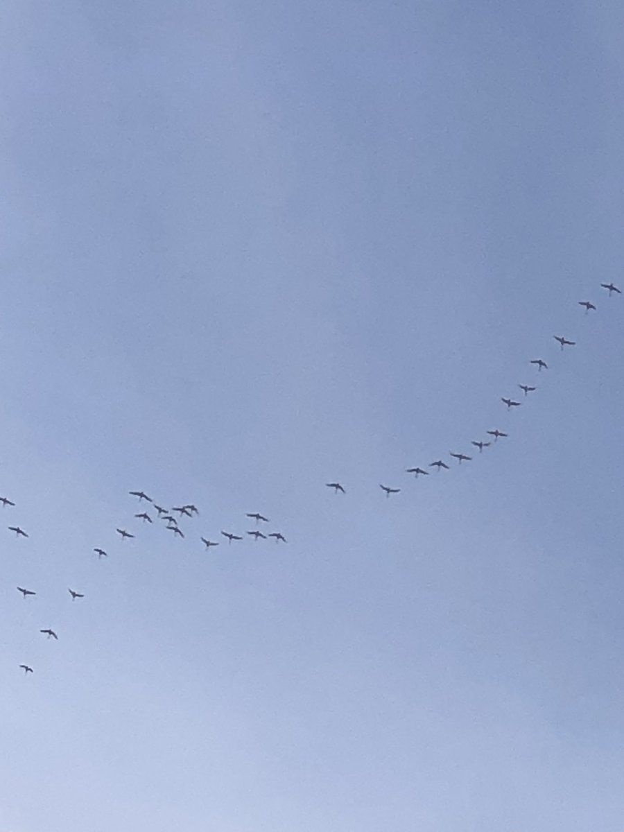 ますたー(@cyber_master) - Twilog