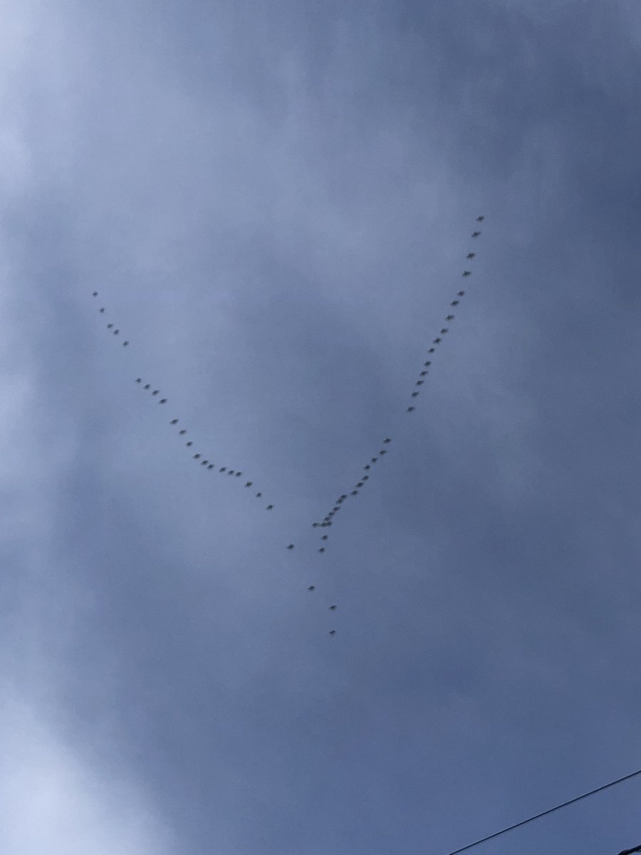 ますたー(@cyber_master) - Twilog