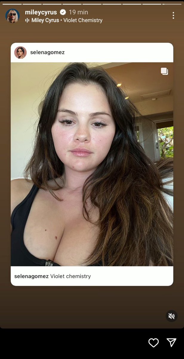 Sandricienta 🌌💚 on Twitter: "RT @sgxpinks: Miley subiendo el post de Selena a sus historias con ...