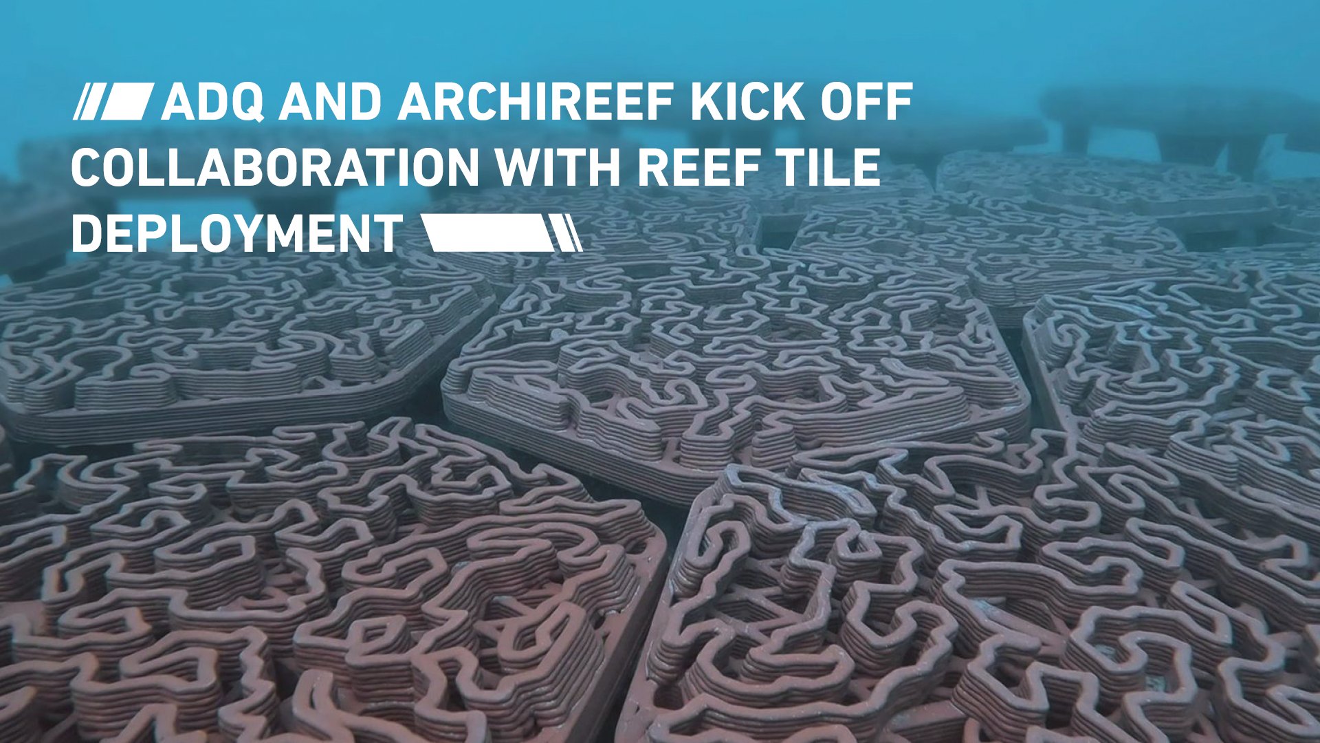 ADQ on Twitter: "In partnership with @Archireef, we have brought a unique, R&D-driven marine ...