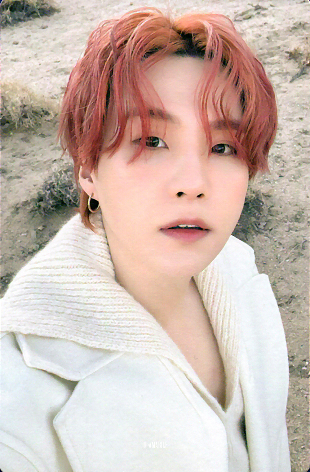 아마빌레 on Twitter: "[SCAN] (요청) Me, Myself, and SUGA ‘Wholly or Whole me’ Special 8 Photo-Folio 포토 ...