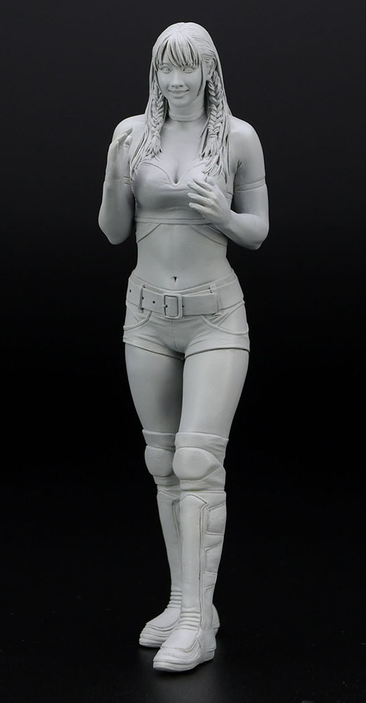 HOBBY Watch on Twitter: "ハセガワ、レジンキット「12リアルフィギュア コレクション No.30 “ガールズレスラー”」の原型見本を公開 https://hobby ...