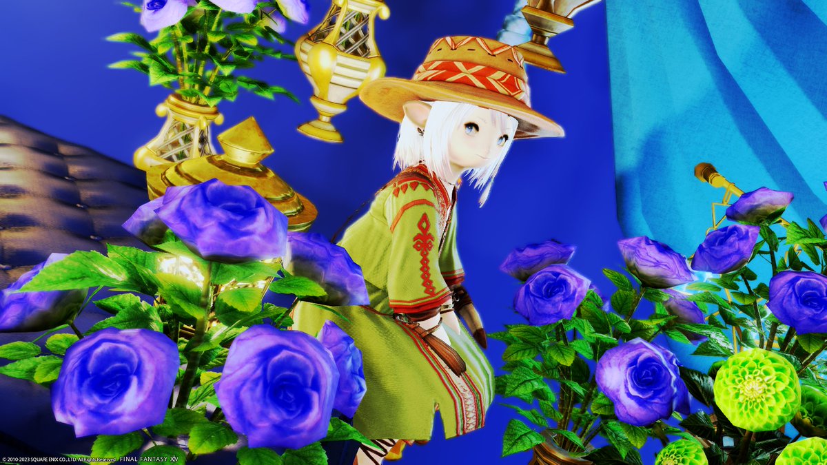 LeNimo Sea | StudioXIV