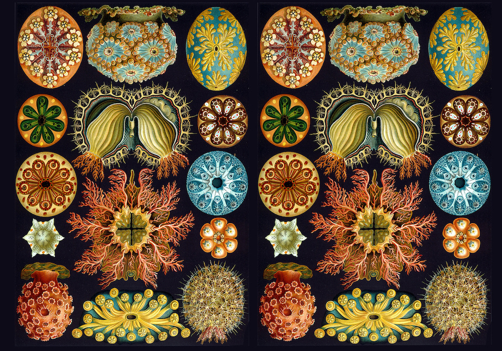 Flashbak On Twitter A Short History Of Wrapping Paper Flashbak flashbak-on-twitter-a-short-history-of-wrapping-paper-flashbak