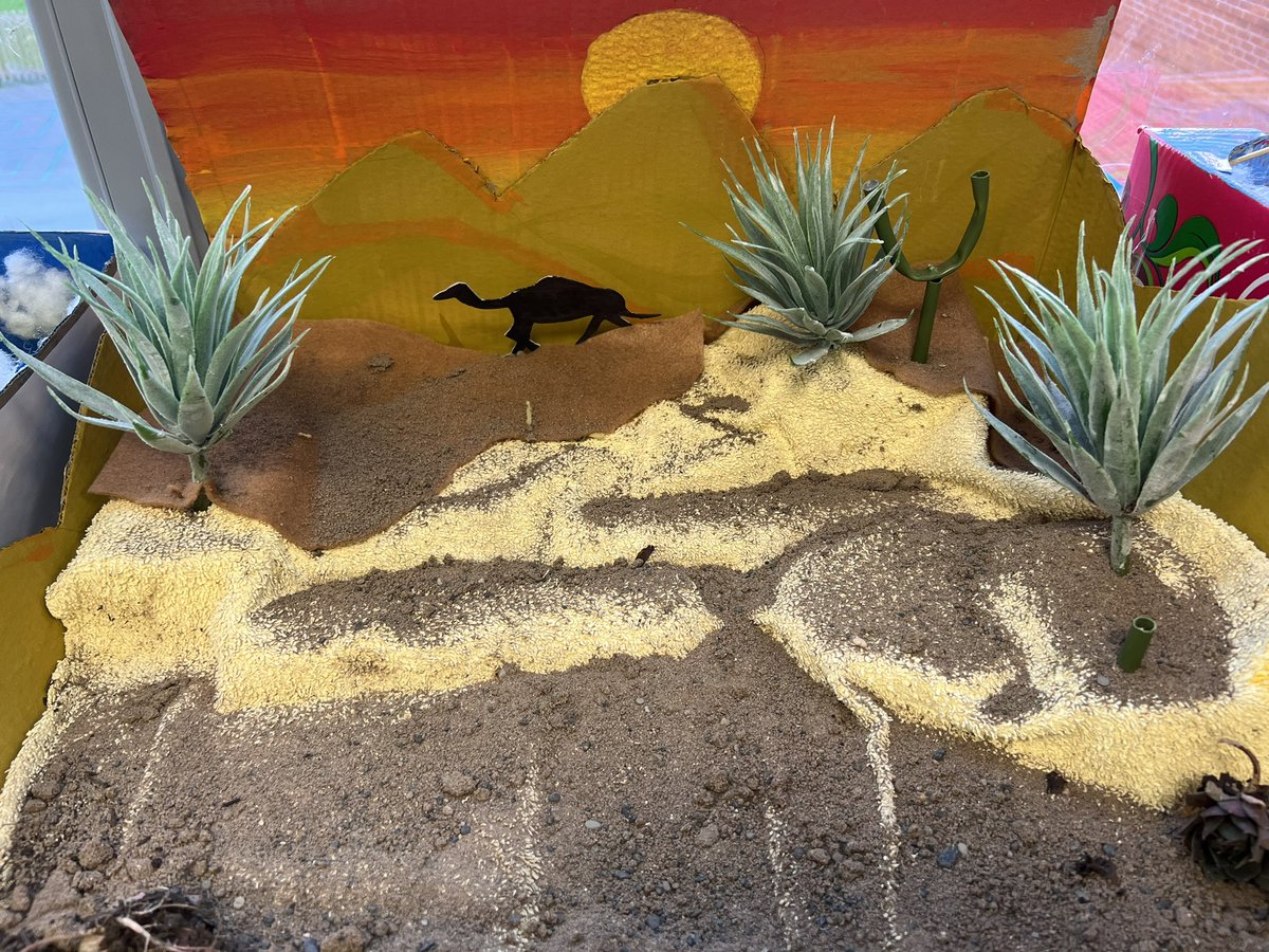 Huntington CP School on Twitter: "A few more examples of our ‘biome in ...