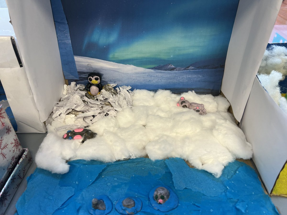 Huntington CP School on Twitter: "A few more examples of our ‘biome in ...