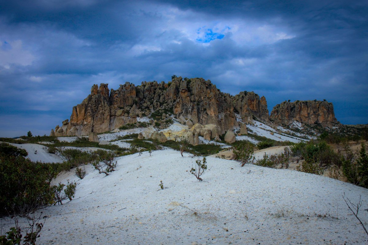 Micca on Twitter: "RT @EdmundBoissier: 🌻Master of Landscapes ☀️ -- 1/1 Art -- -- 3 to 3.80 # ...