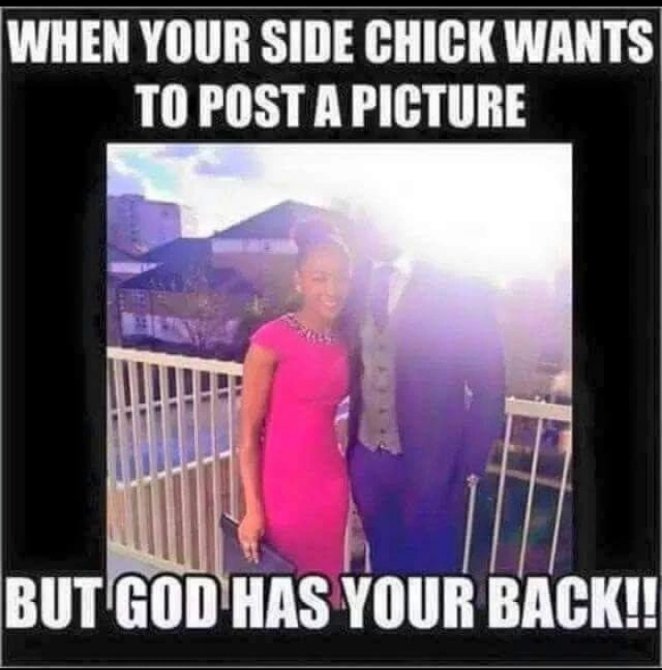 Pets Electrical on Twitter: "RT @vigilanceblues: